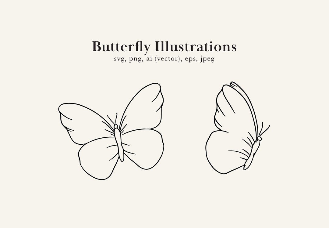 Step By Step Drawings Of Butterflies