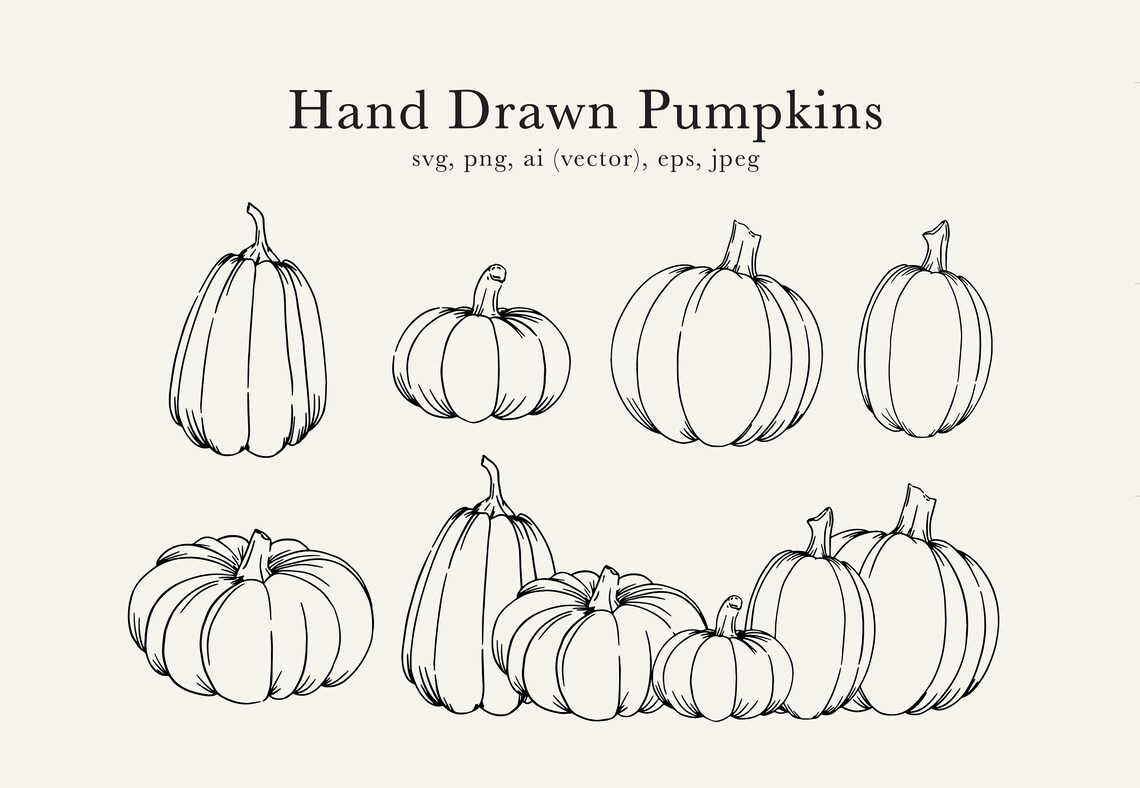 Hand Drawn Pumpkins Pumpkin PNG Pumpkin SVG Fall Clip Art - Etsy