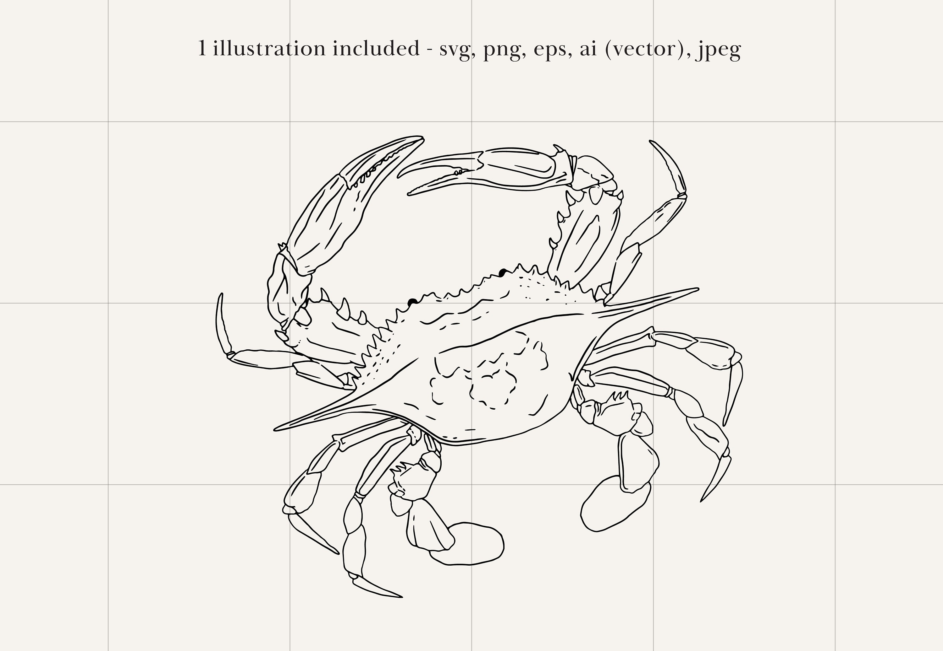 Crab Illustration Crab SVG Crab Clip Art Maryland Crab - Etsy