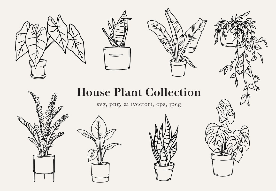 House Plant Vectors, Potted Plant SVG, Greenery SVG, House Plant ...