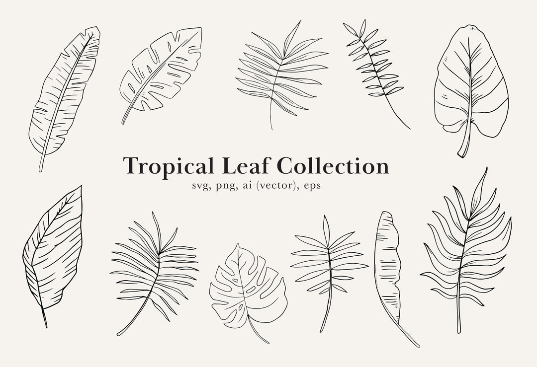 Tropical Leaf Clip Art, Tropical Leaves, Tropical Leaf Vectors, Leaf ...