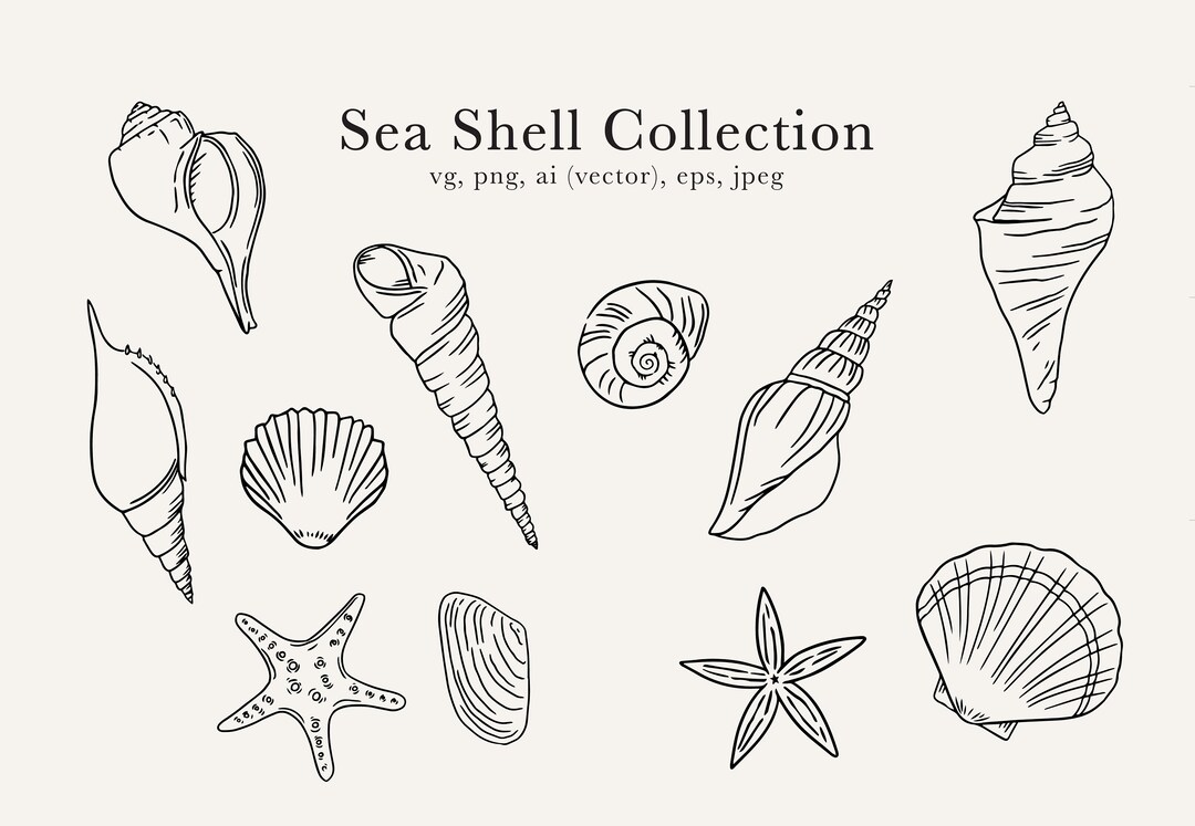 Sea Shell Clip Art, Sea Shell Graphic, Sea Shell SVG, Sea Shell Jpeg ...