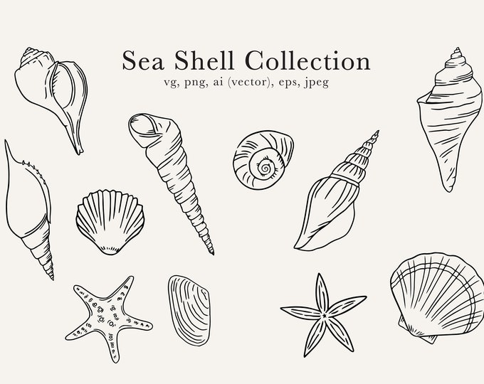 Sea Shell Clipart PNG Files for Instant Download Colorful Sea Shell ...
