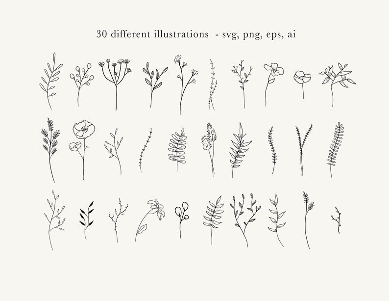 Wildflower Clip Art; Wild Flower Drawings; Wild Flower Vectors ...
