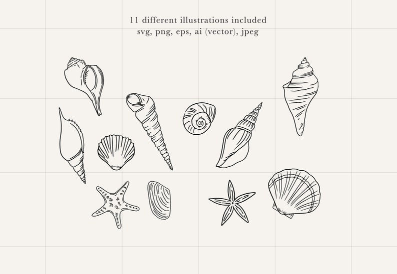 Sea Shell Clip Art Sea Shell Graphic Sea Shell SVG Sea - Etsy