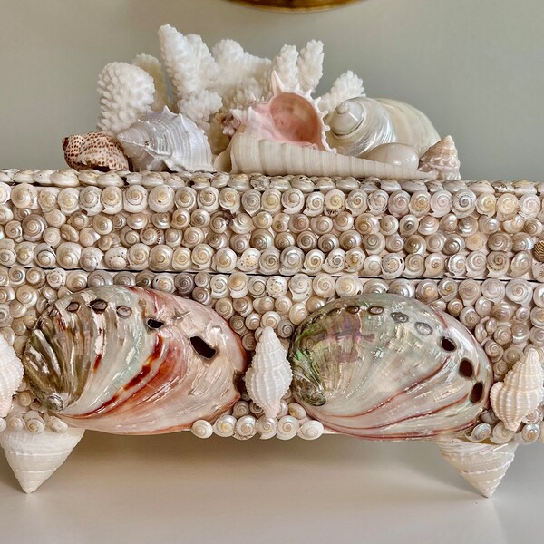 Seashell Decoration - Etsy