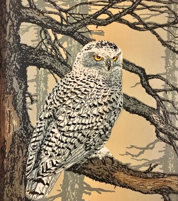 Painted Serigraph by D. Baxter Snowy Owl Vintage Original on - Etsy