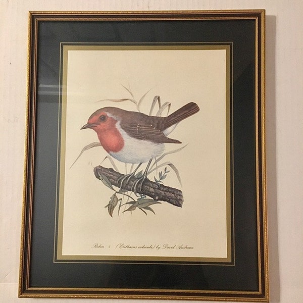 Framed Robin Bird Print - Etsy