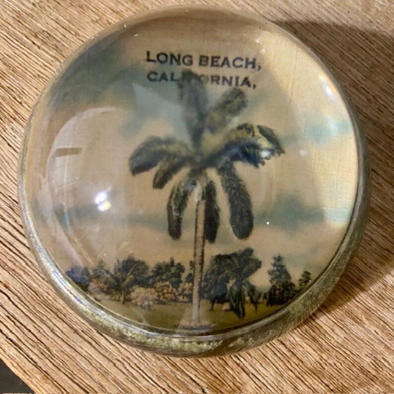 Mid Century Glass Paperweight Long Beach California Souvenir Palm Tree ...