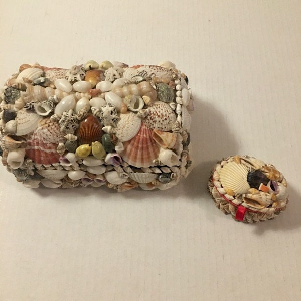 Shell Boxes - Etsy