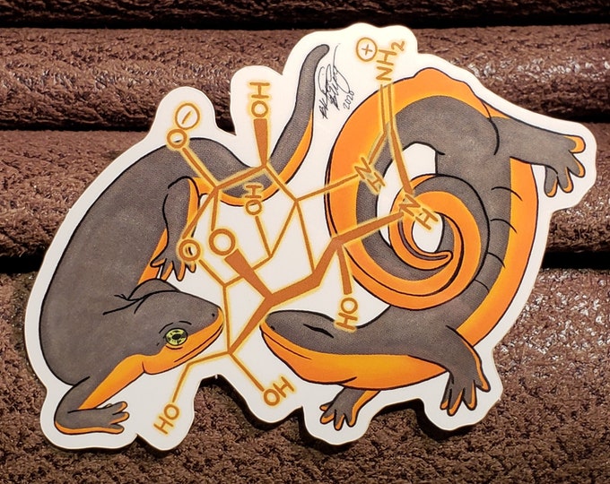 Tetrodotoxin Molecule Rough Skinned Newt Sticker Herpetology Chemistry ...