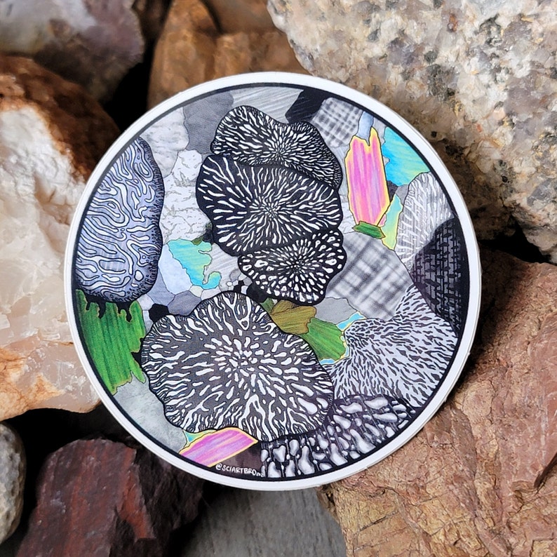 Thin Section Geology Sticker Pack Eclogite Myrmekite Clinopyroxene ...