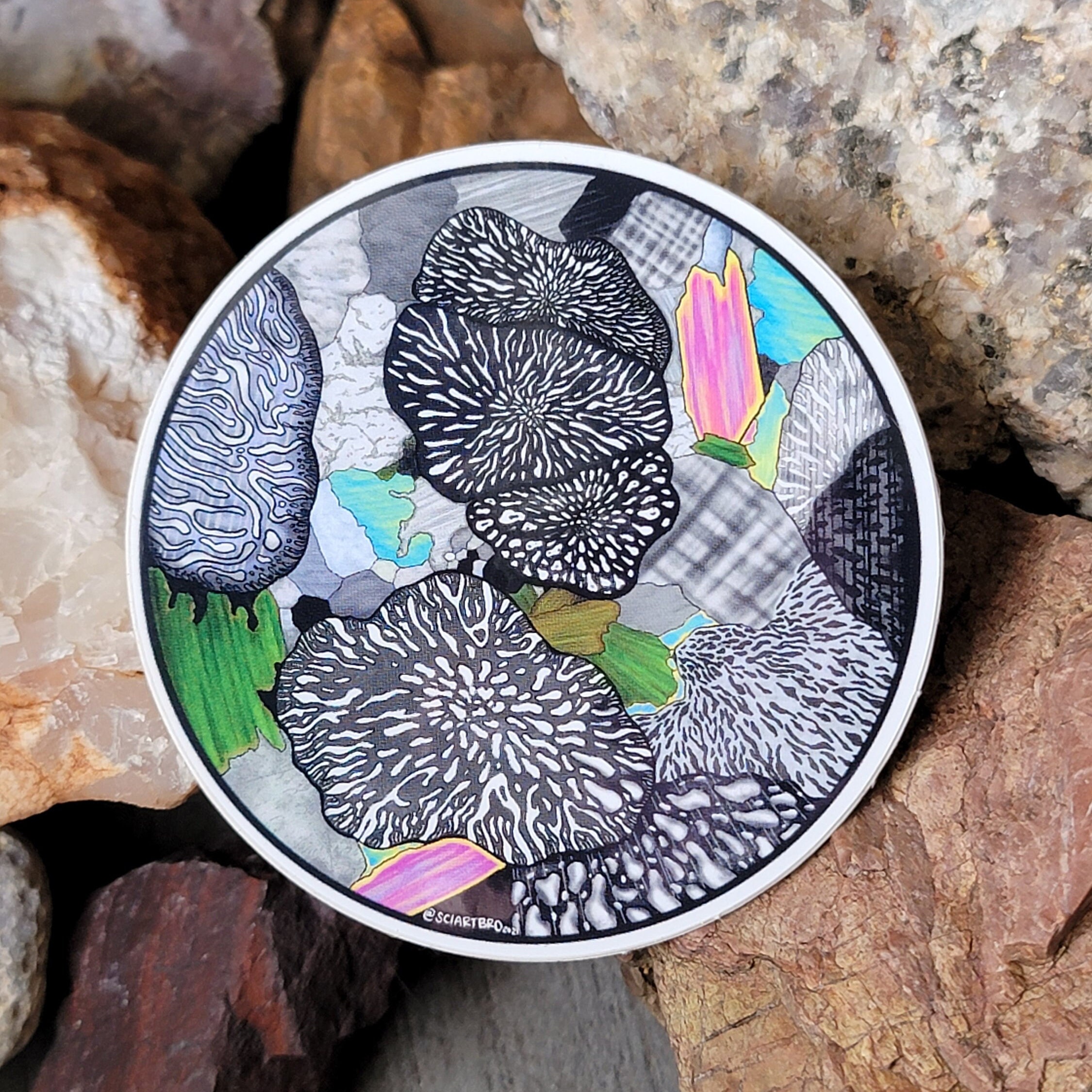 Thin Section Geology Sticker Pack Eclogite - Myrmekite - Clinopyroxene ...