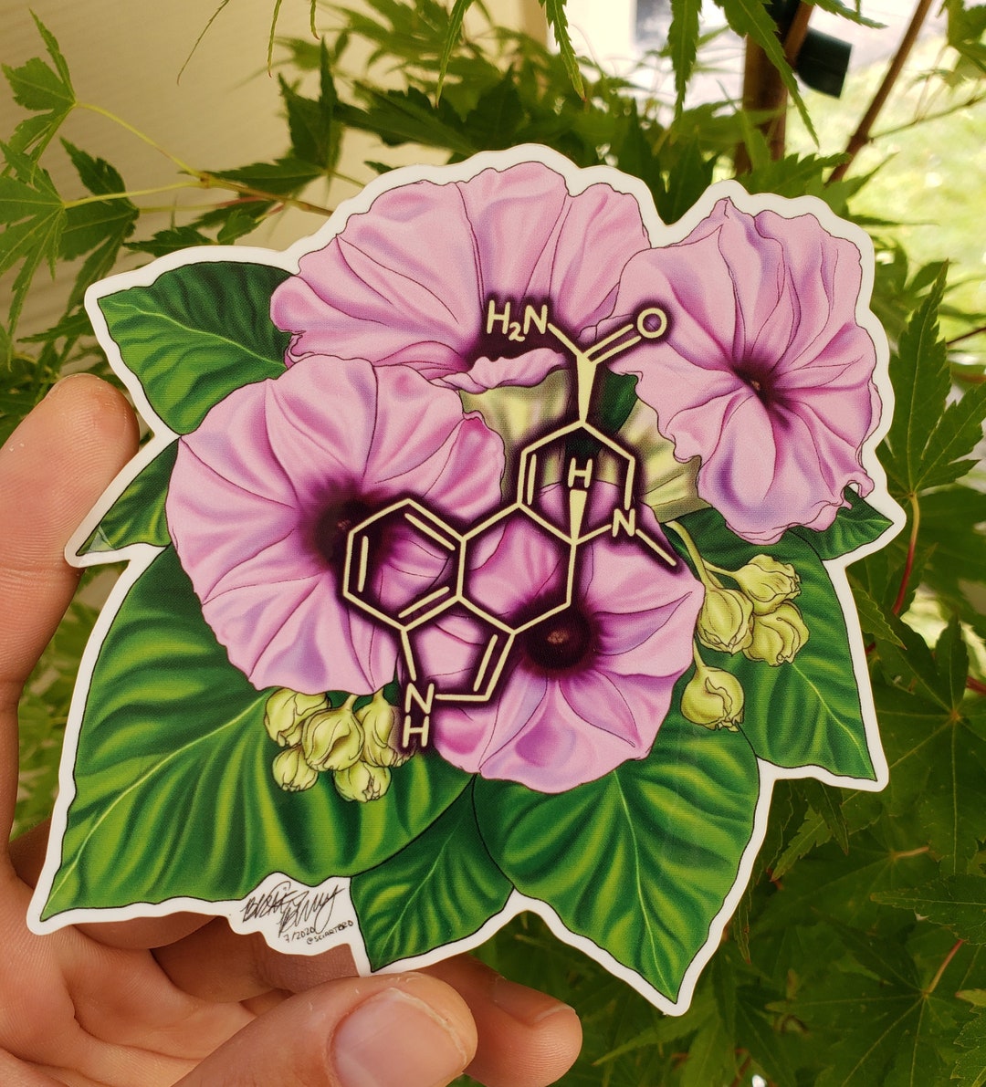 Ergine Molecule Sticker | Chemistry Sticker | Chemistry | Science ...