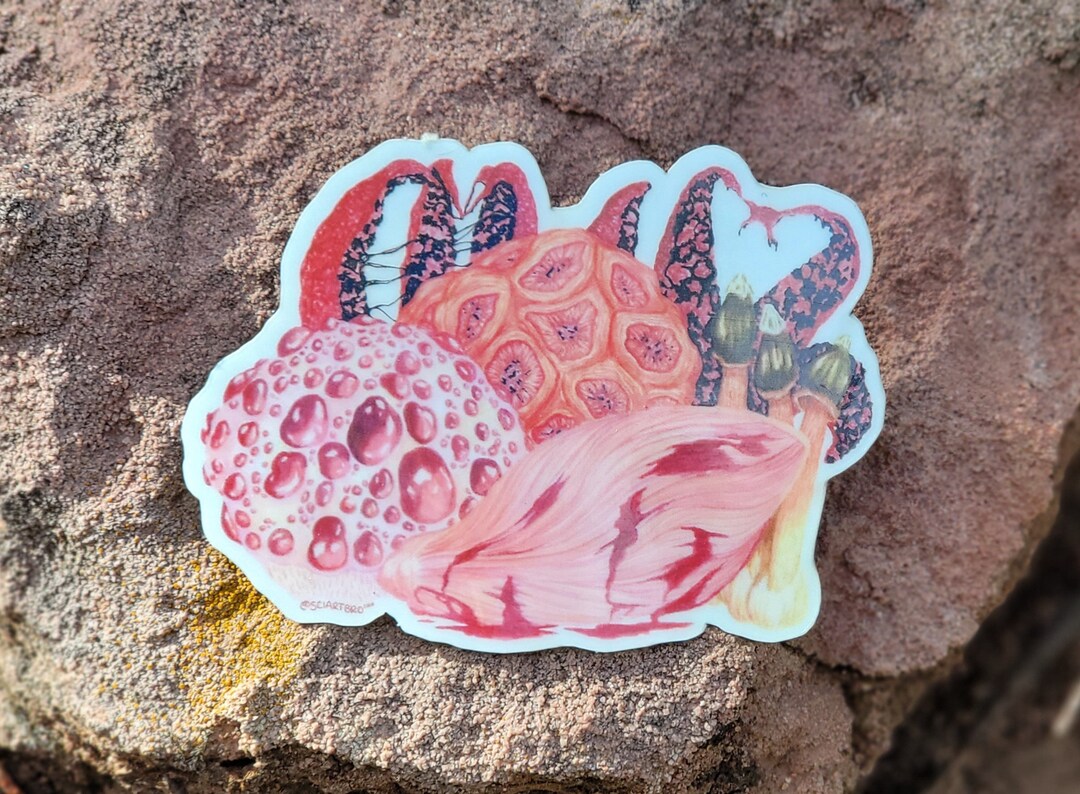 Spooky Fungi Glow-in-the-dark Vinyl Sticker - Mushrooms - Mycology ...