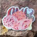 Geology Tool Kit Sticker Pack Vinyl Sticker Geologist Geology Gift ...