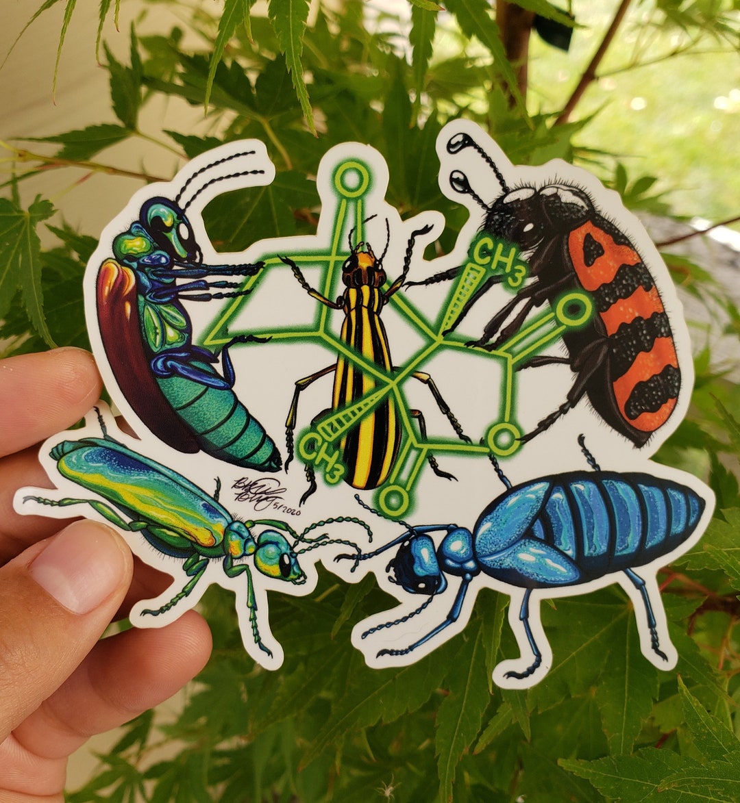 Cantharidin Beetle Molecule Sticker | Chemistry Sticker | Entomology ...