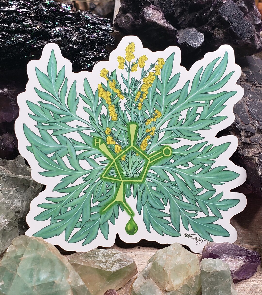 Thujone Absinthe Wormwood Molecule Vinyl Sticker | Chemistry | Science ...