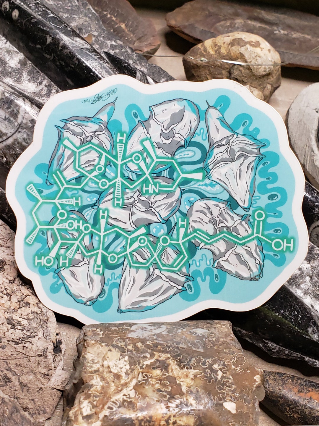 Azaspiracid Dinoflagellate Molecule Vinyl Sticker | Marine Life ...