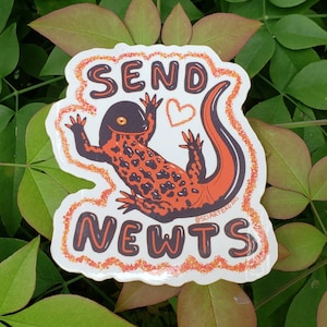 SEND NEWTS Ecology Meme Vinyl Sticker | Herpetology | Salamander | Newt ...
