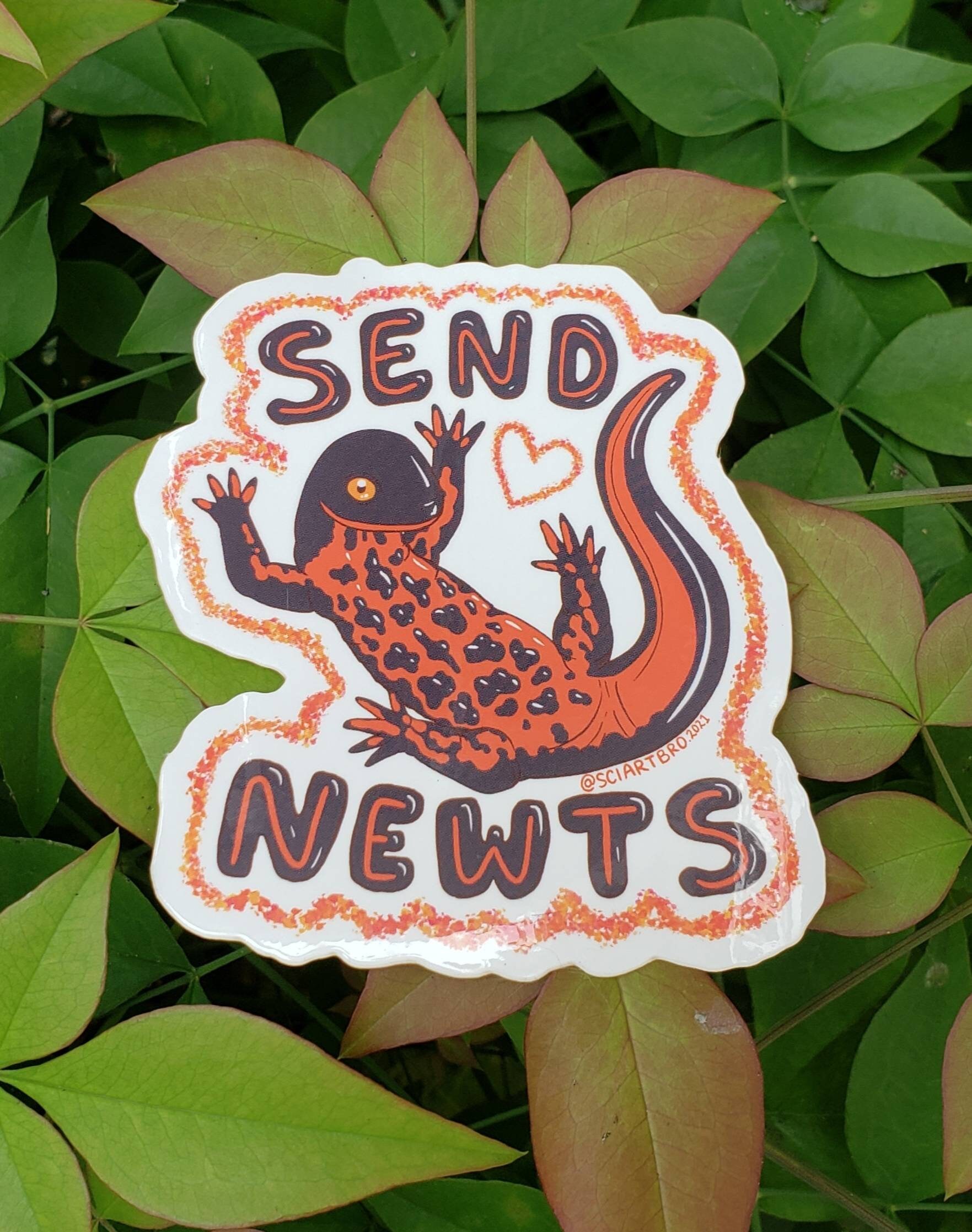 SEND NEWTS Ecology Meme Vinyl Sticker | Herpetology | Salamander | Newt ...