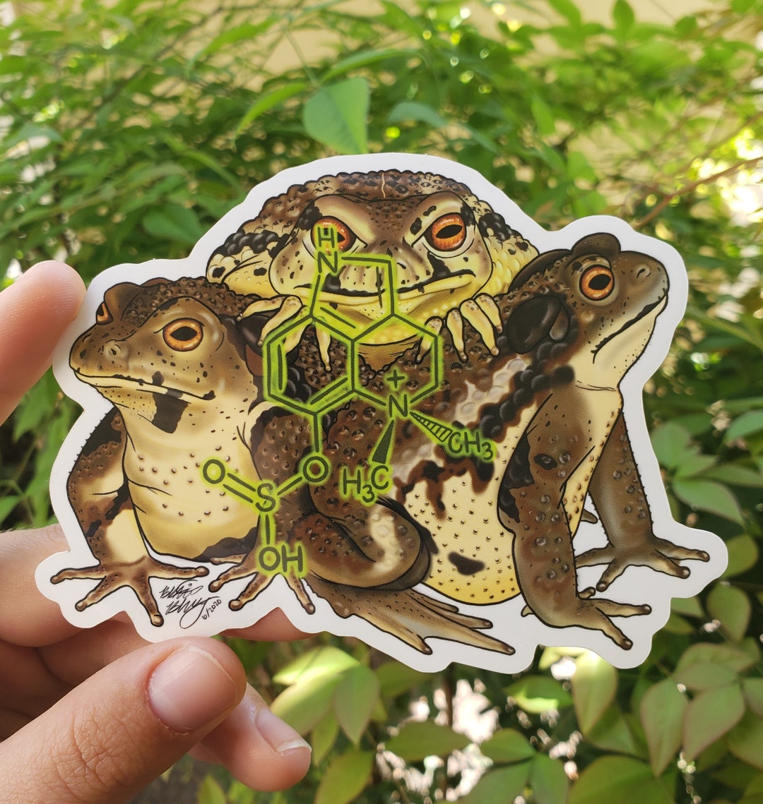 Bufothionine Asiatic Toad Molecule Sticker | Chemistry | Science Gift ...