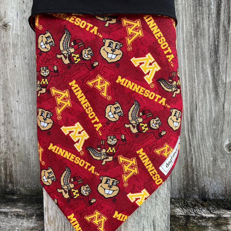 University of Minnesota - Etsy