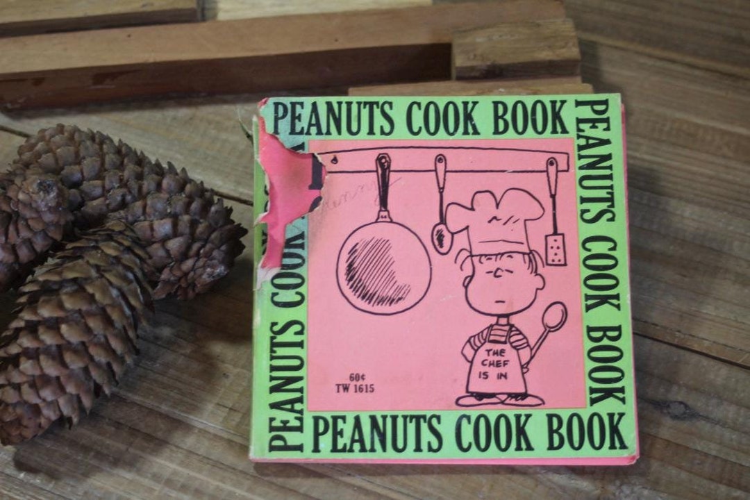 1970s Peanuts Cook Book, Charlie Brown, Snoopy, & Friends Recipe Book ...