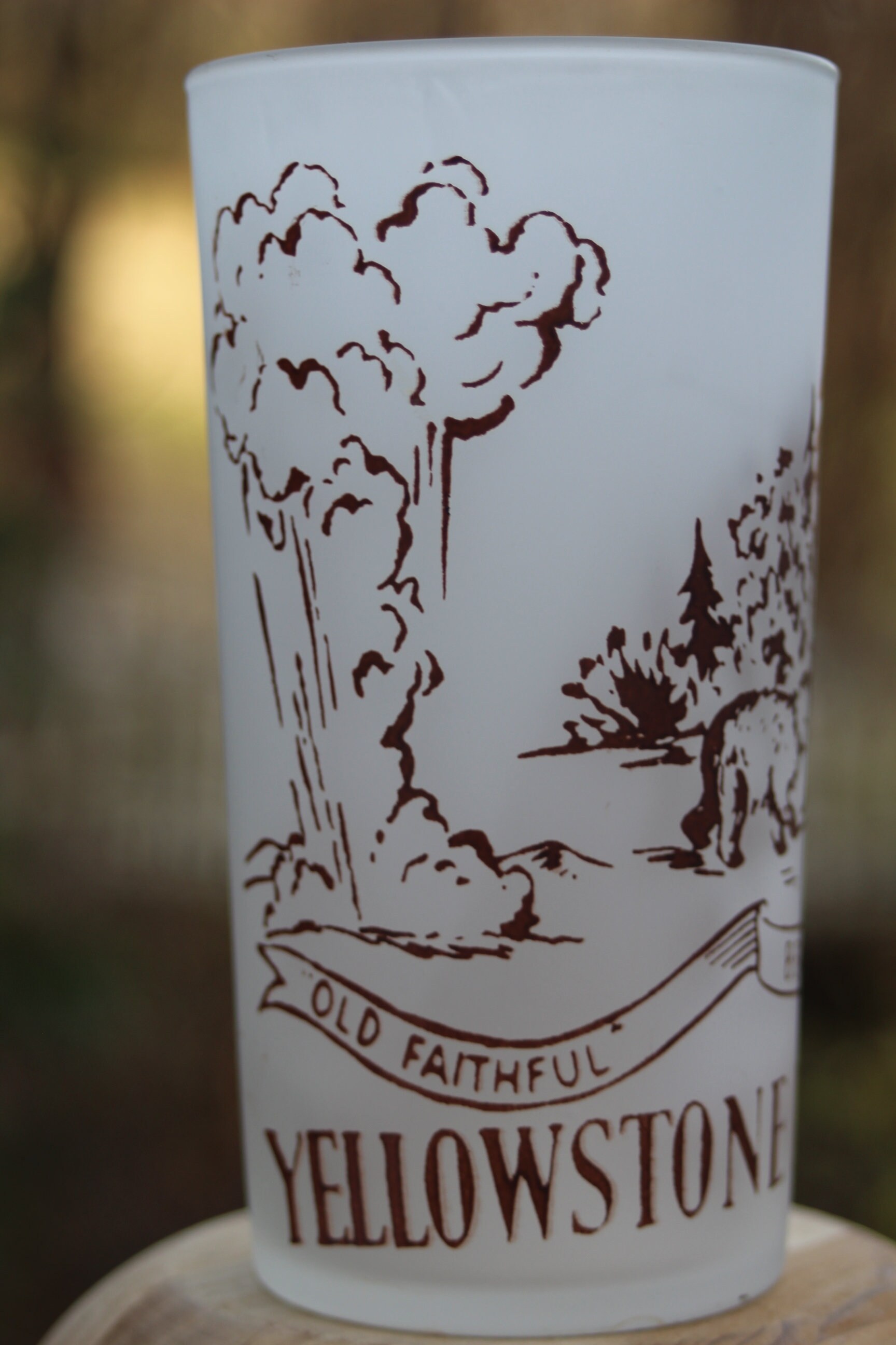 Mid-century YELLOWSTONE NATIONAL PARK Frosted Glass: Old - Etsy