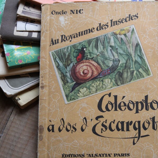 Dos a Dos Book - Etsy