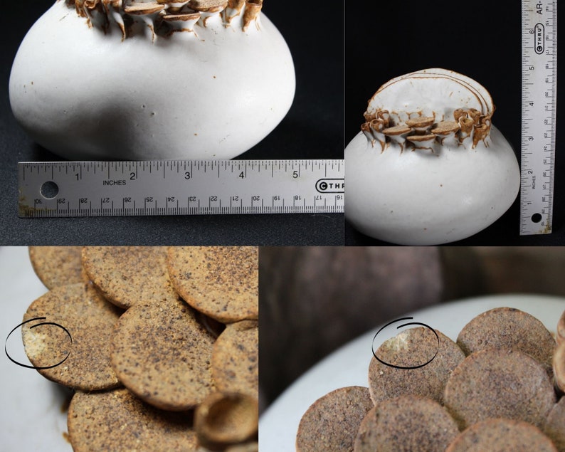 Mid-century Isabel Parks Art Pottery Signed Hickory Grove - Etsy