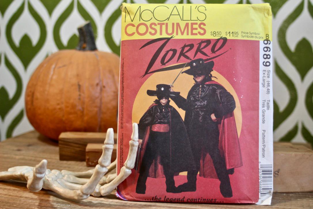 The Legend Of Zorro Costume