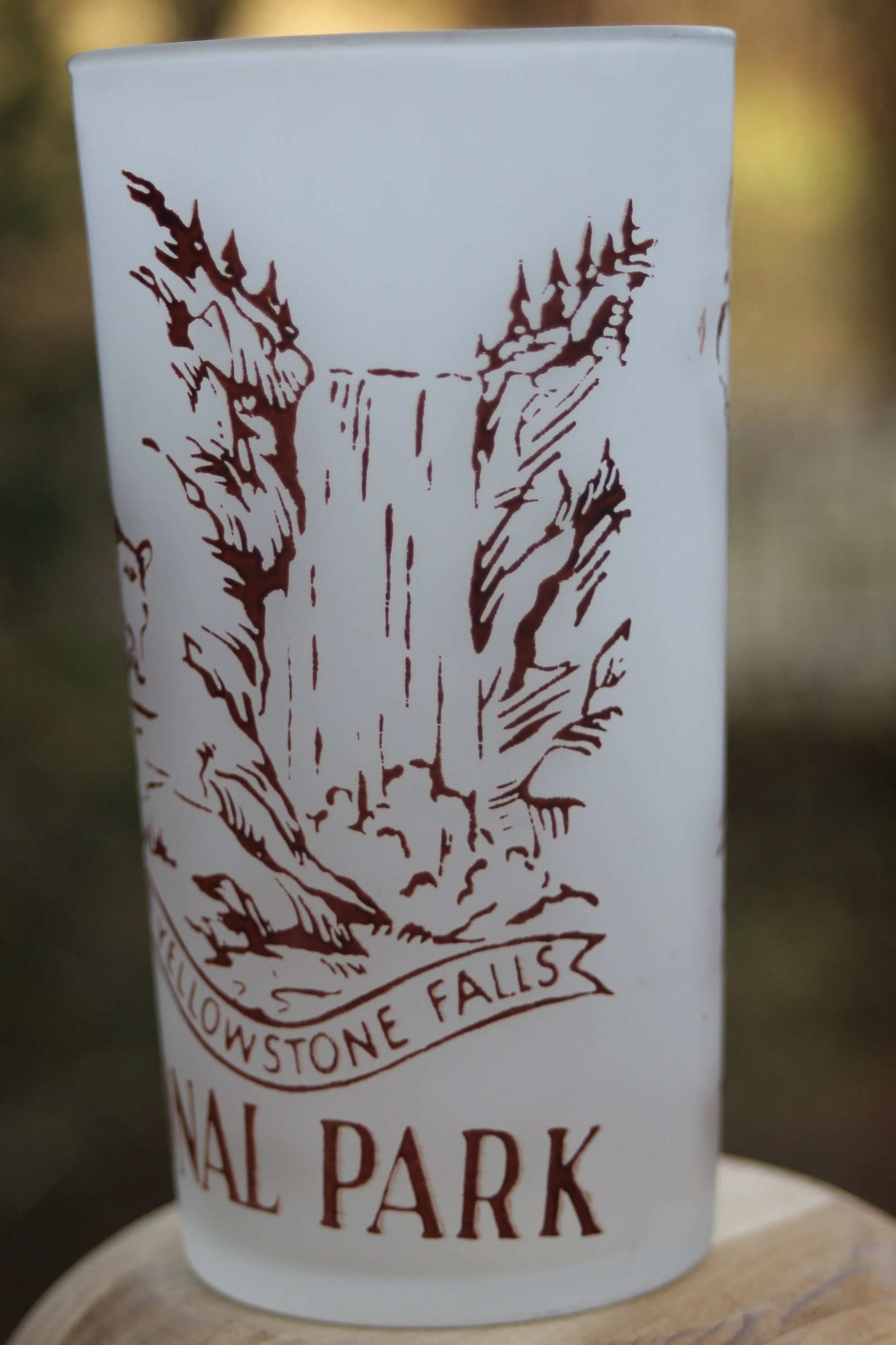 Mid-century YELLOWSTONE NATIONAL PARK Frosted Glass: Old Faithful, Bear ...