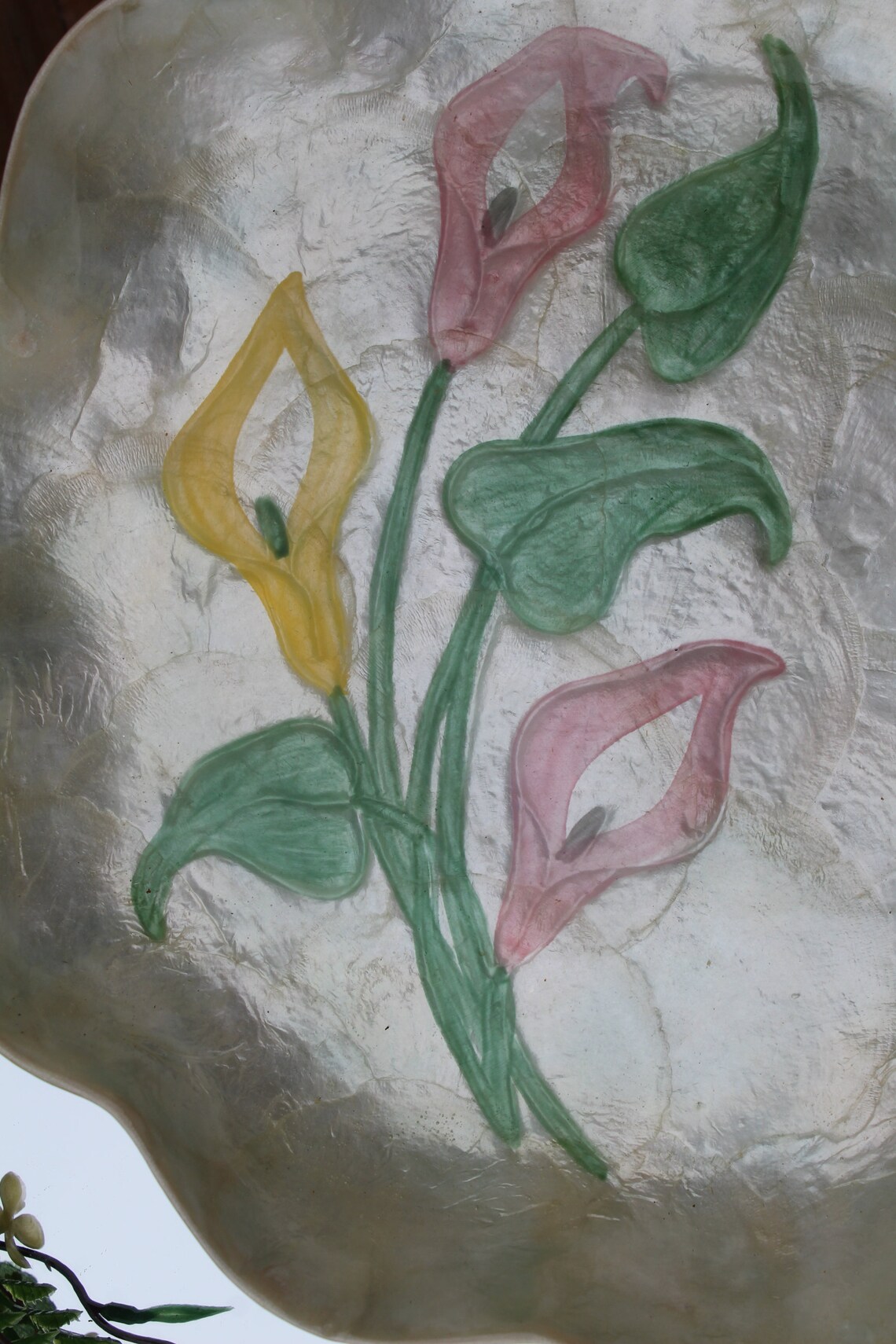 Vintage Hawaiian Windowpane Oyster Shell Bowls Scalloped - Etsy