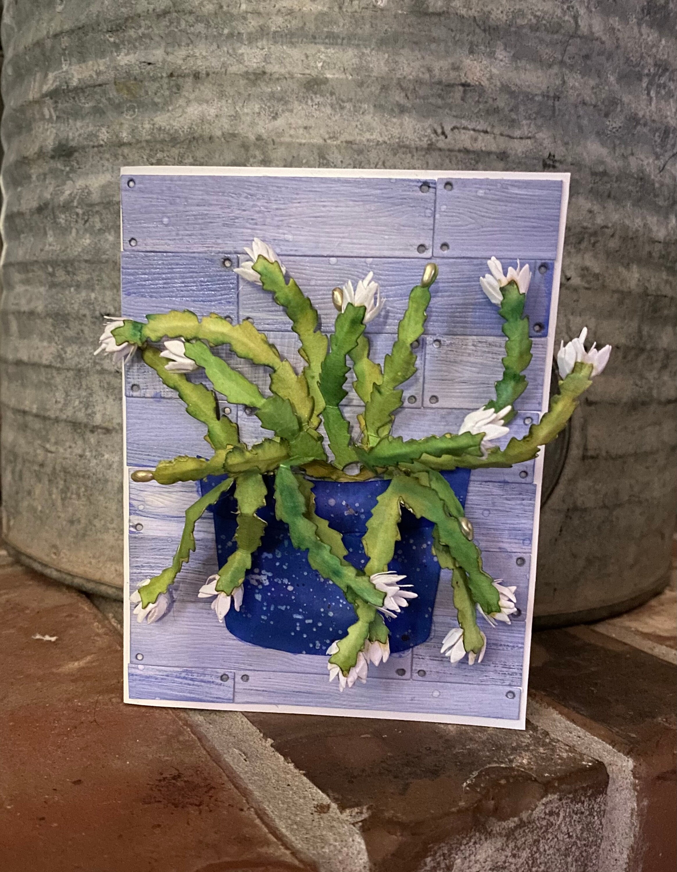 White Christmas Cactus Any Occasion Card. - Etsy