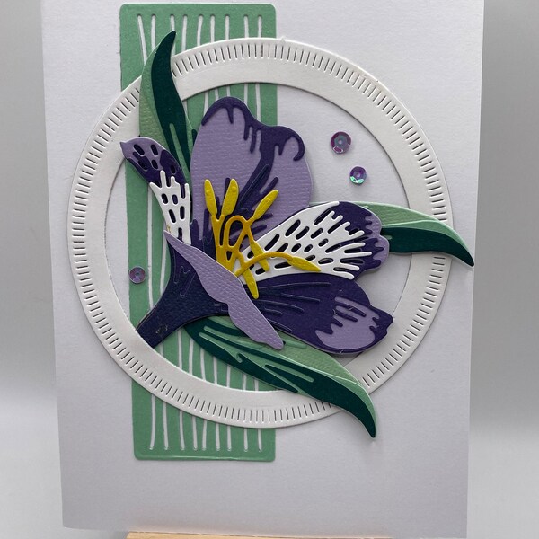 Peruvian Birthday Card - Etsy