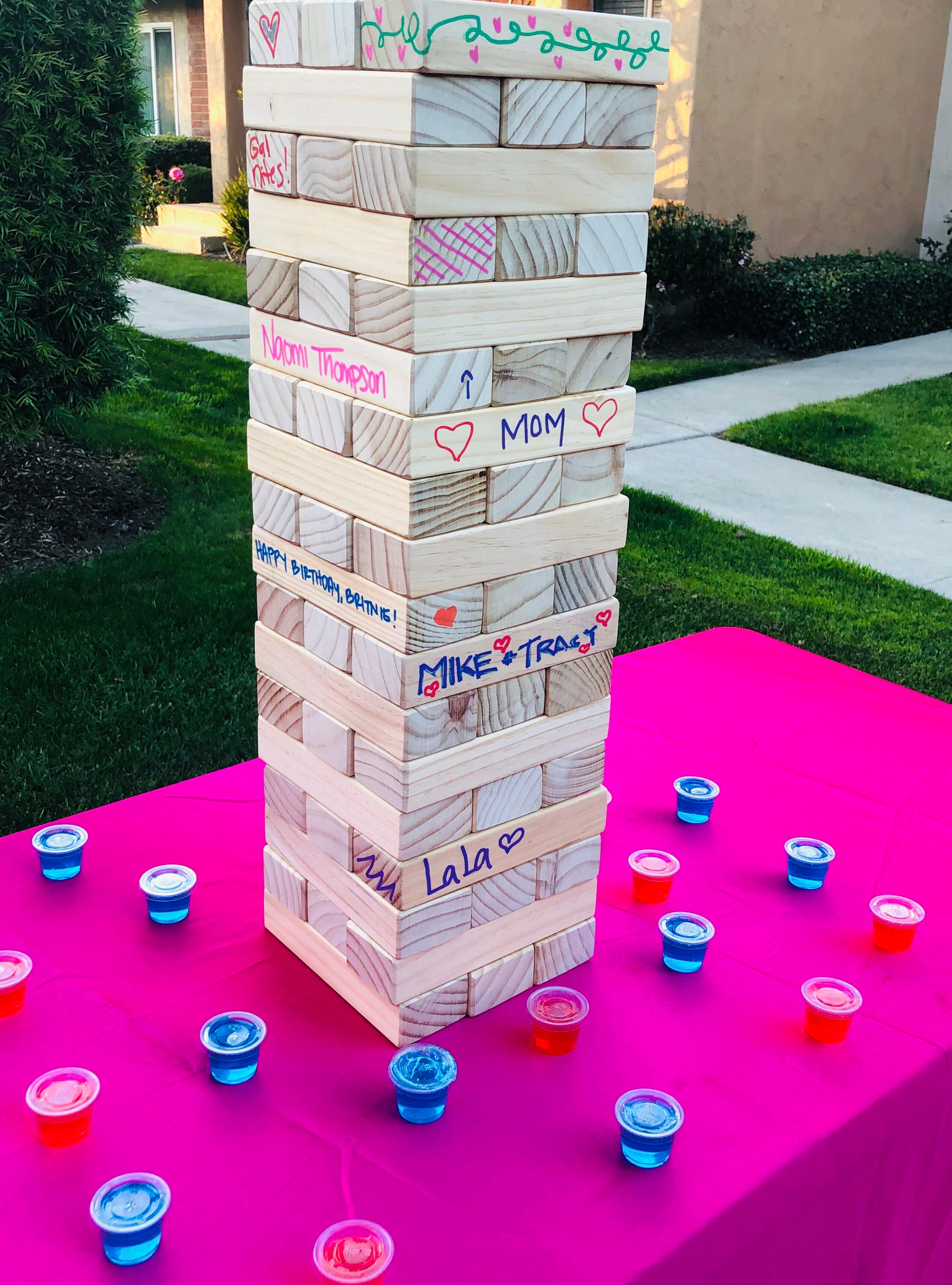 Custom Jello Shot Blocks Jello Shot Toppling Tower Blocks - Etsy