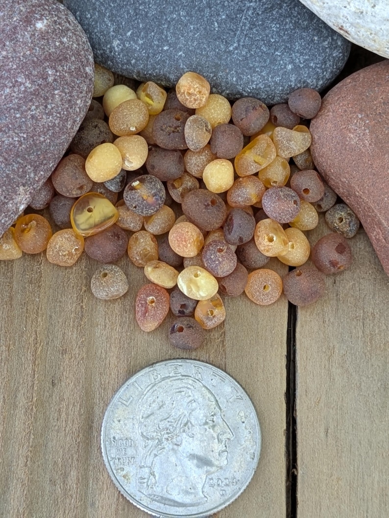 Raw Baltic Amber Pebble Bead | 25 or 50 Beads - Etsy