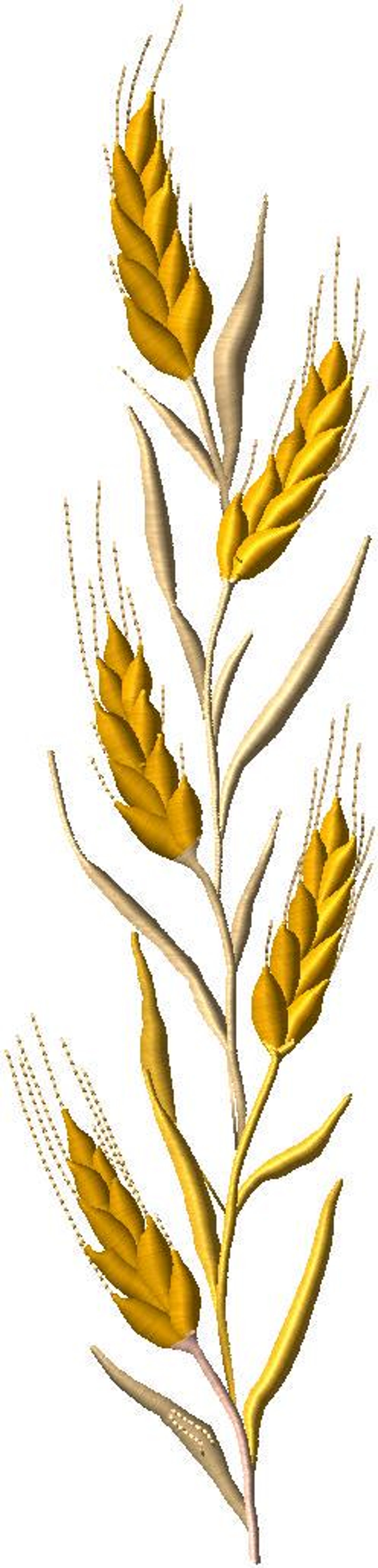 Wheat Machine Embroidery Design - Etsy