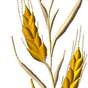 Wheat Machine Embroidery Design - Etsy