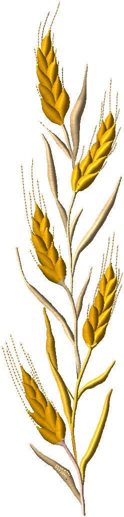 Wheat Machine Embroidery Design - Etsy