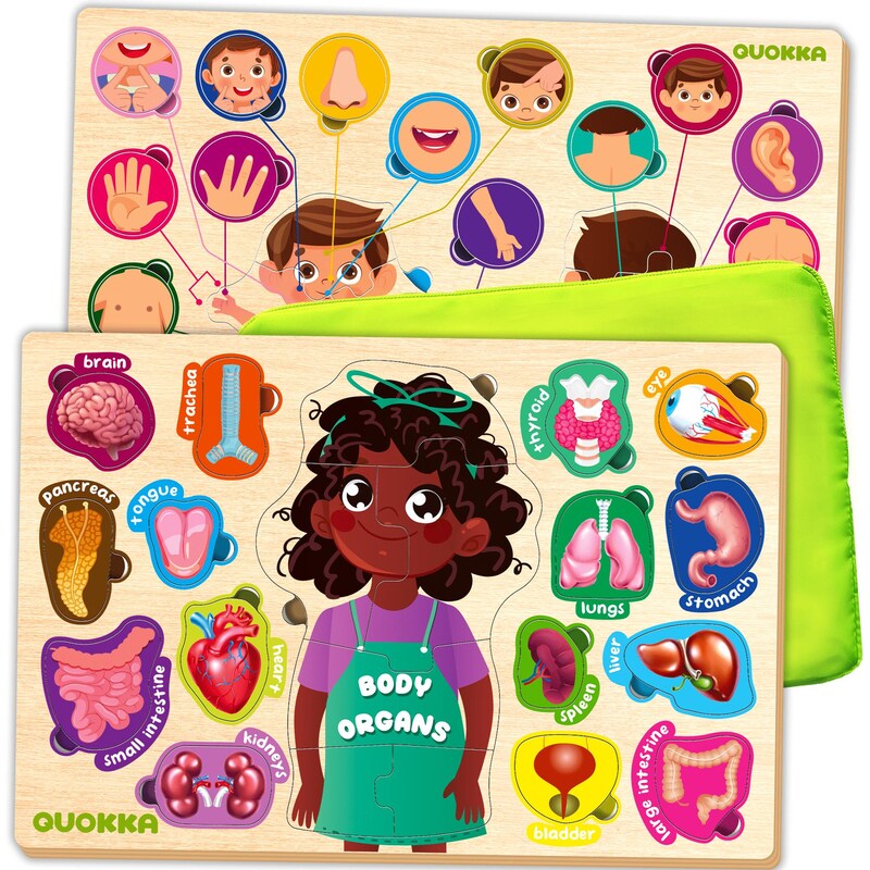 Human Body Puzzle - Etsy