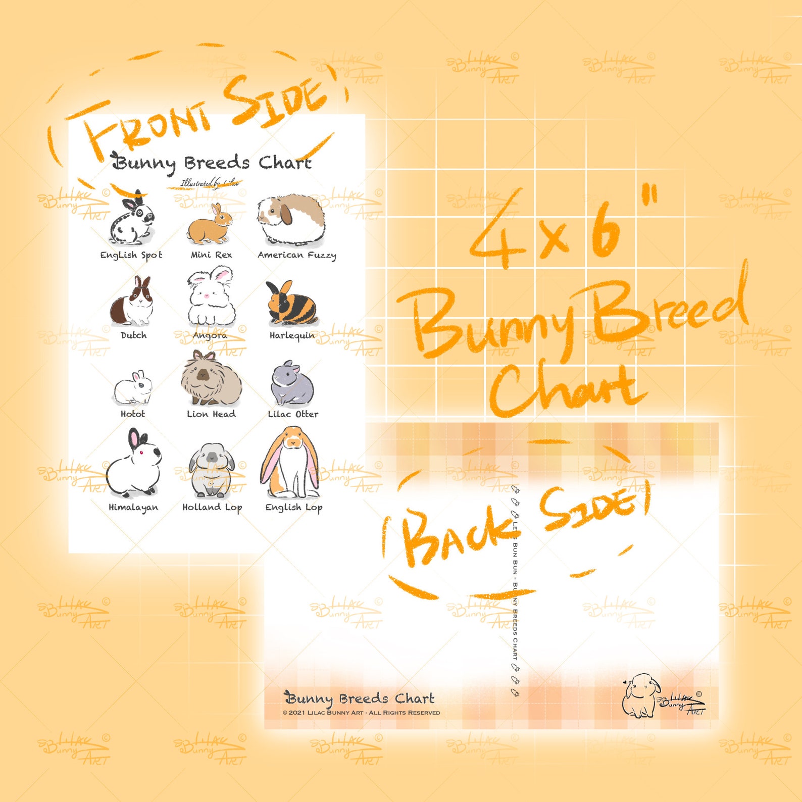Bunny Breed Chart, Lilacbunnyart, Cute Rabbit Post, Holland Lop, Lion ...