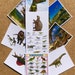 New Set of 20 Dinosaurs Postcards - Etsy UK