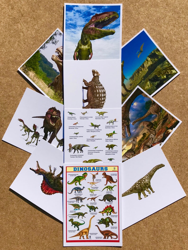 New Set of 20 Dinosaurs Postcards - Etsy