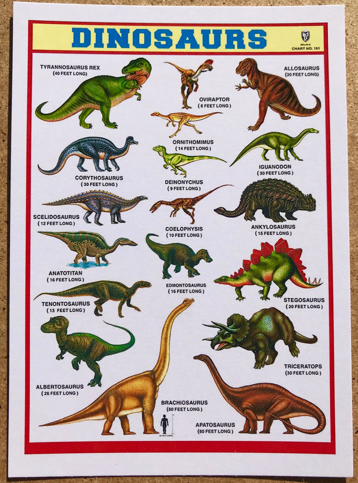 New Set of 20 Dinosaurs Postcards - Etsy