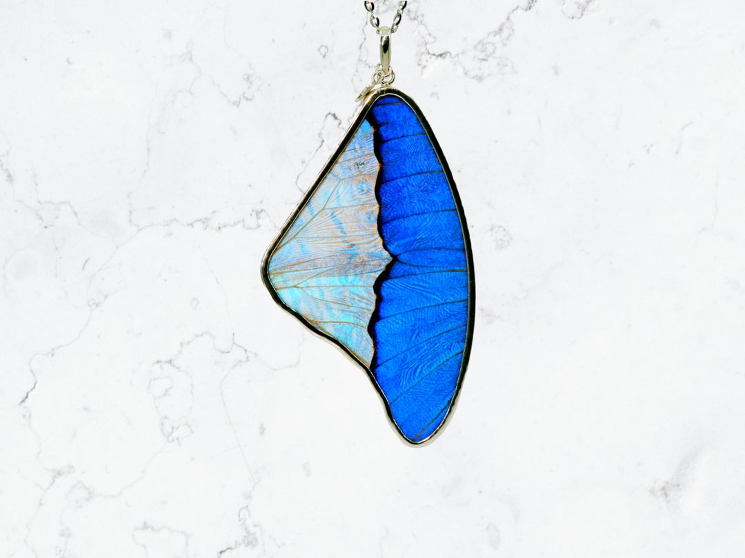 Genuine Morpho Sulkowski Butterfly Jewelry – Exotic Large Wing Necklace ...