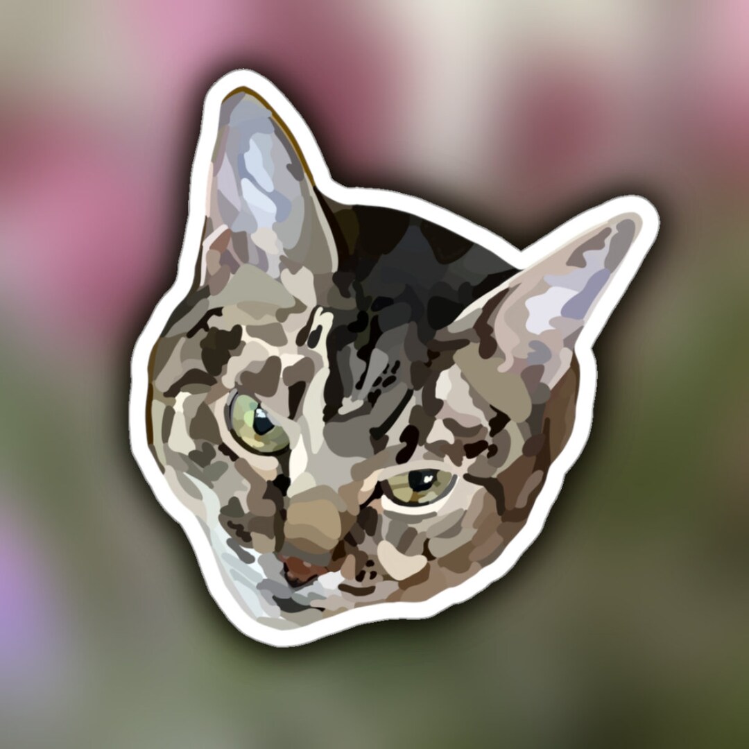 Tabby Cat Sticker, Brown Tabby Cat, American Shorthair, Cat Merch ...