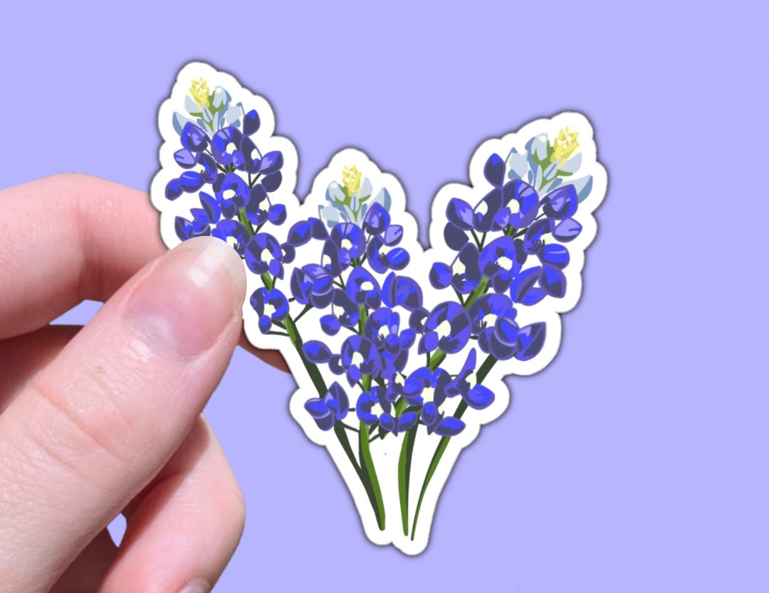 Bluebonnets, Texas State Flower, Texas Bluebonnet, Fresh Flowers, Texas ...