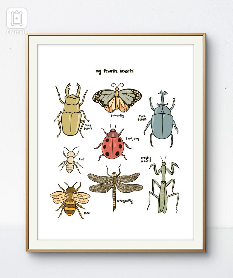 My Favorite Insects: DIGITAL DOWNLOAD Whimsical, Educational Kids Wall ...